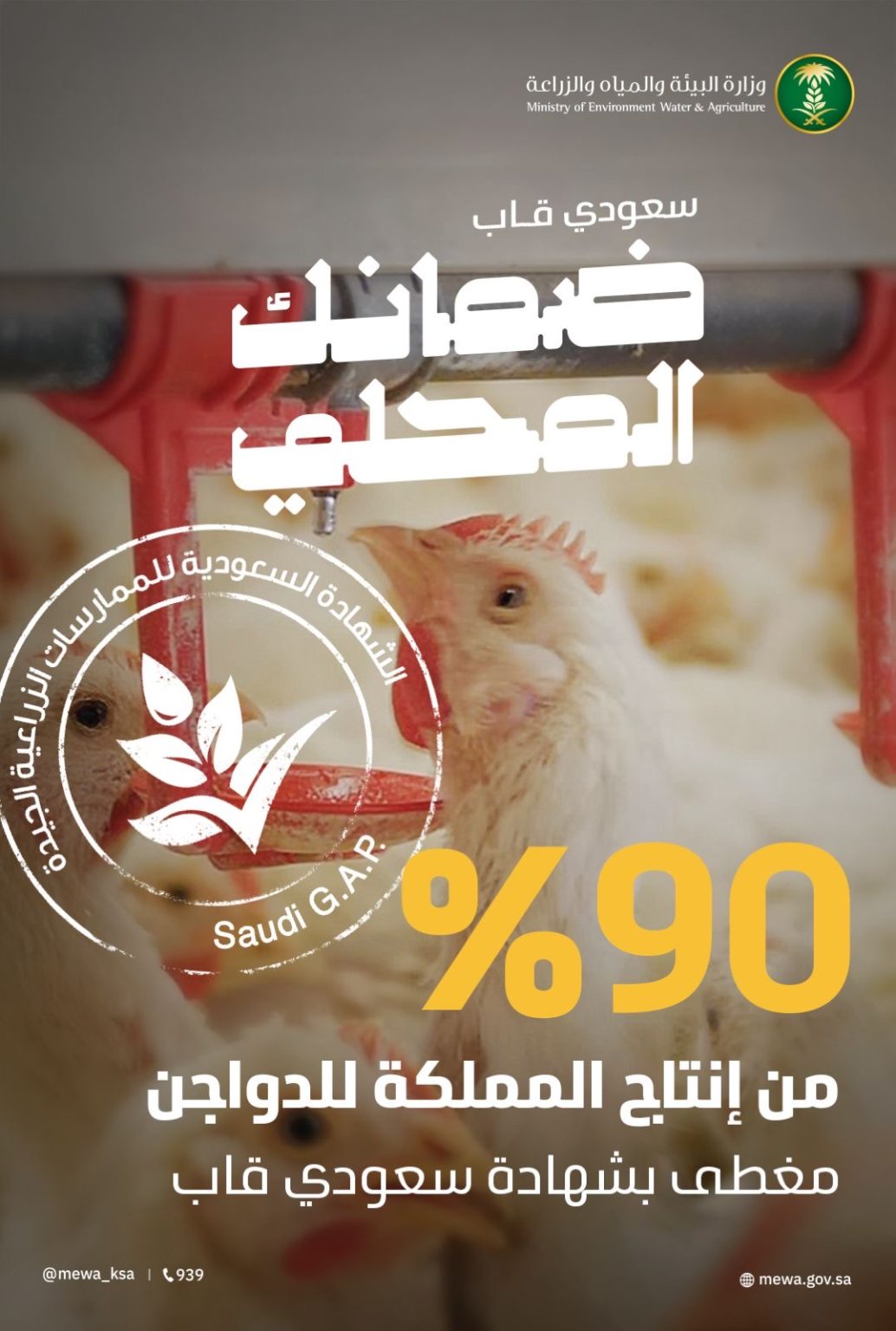 البيئة: ارتفاع نسبة تغطية “سعودي قاب” لإنتاج الدواجن إلى 90% لتعزيز ثقة ...